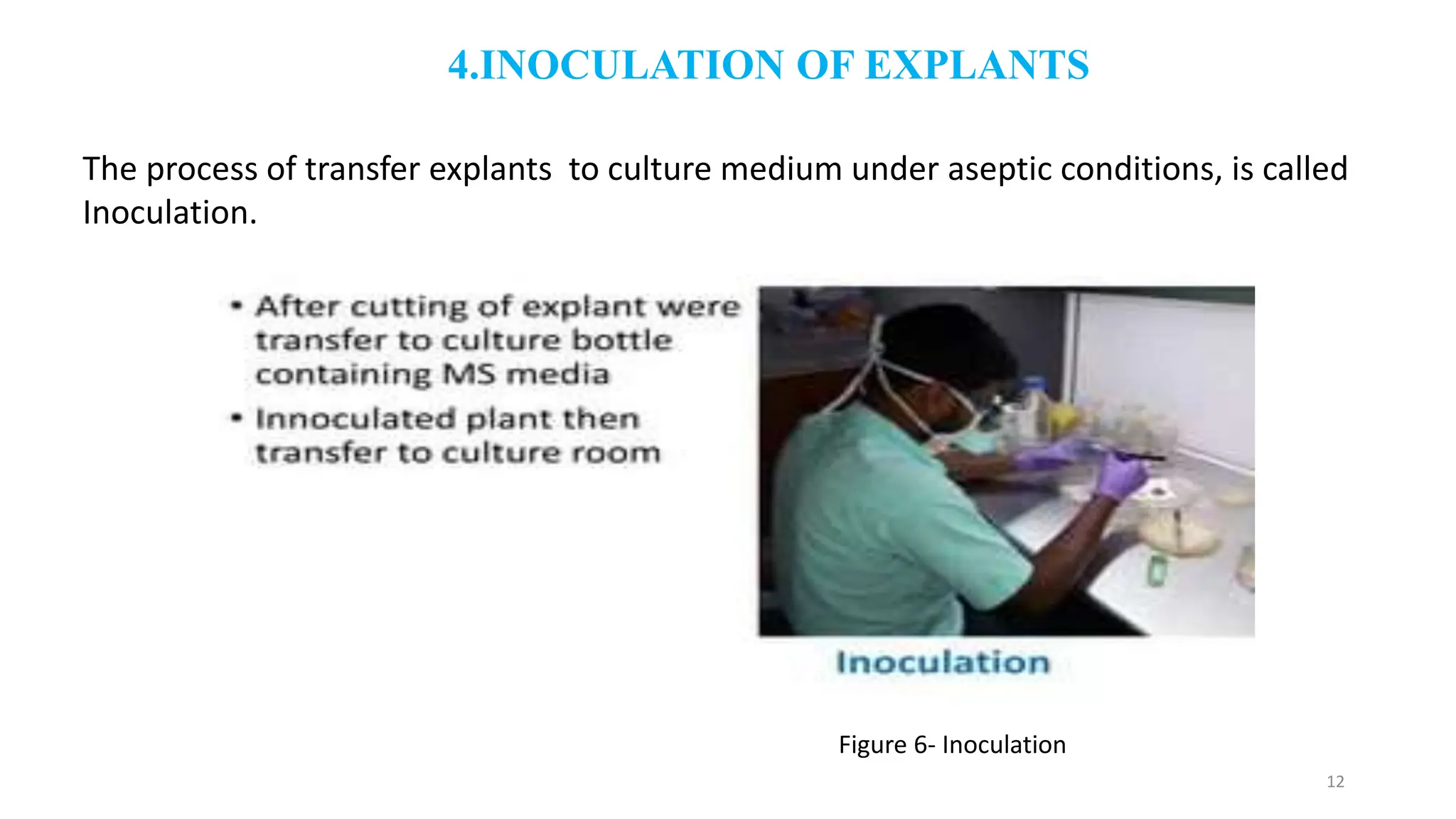 Plant Tissue culture., Plasticity, Totipotency, pptx | PPTX