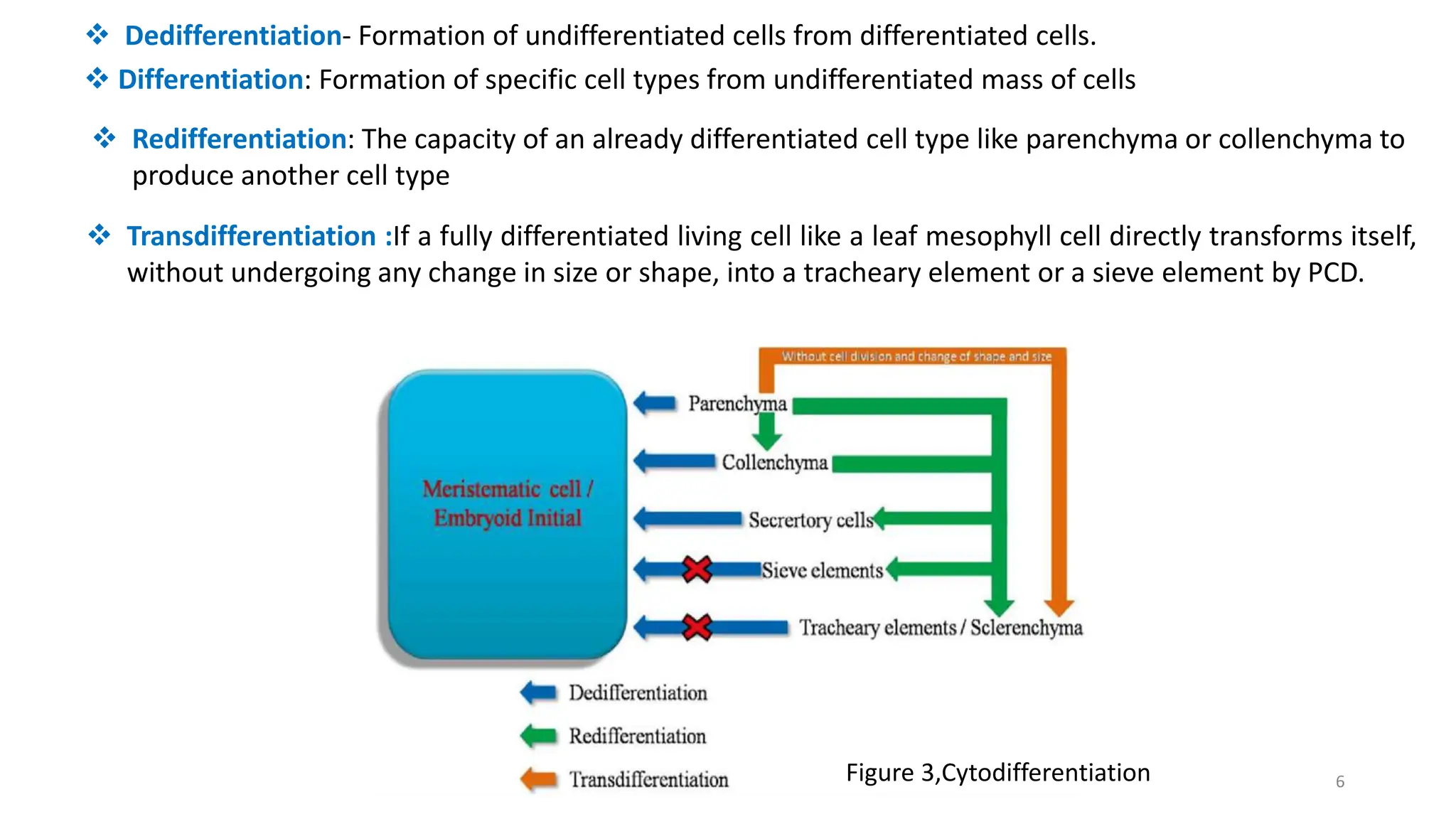 Plant Tissue culture., Plasticity, Totipotency, pptx | PPTX