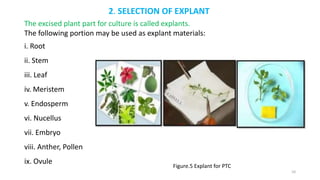 Plant Tissue culture., Plasticity, Totipotency, pptx | PPTX