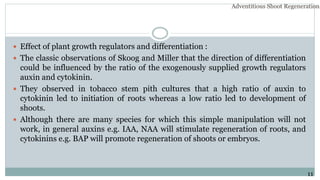 Adventitious shoot regeneration.....pptx