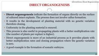 Adventitious shoot regeneration.....pptx