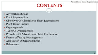 Adventitious shoot regeneration.....pptx