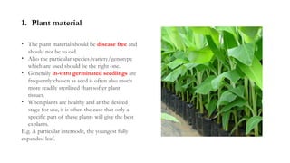 PLANT TISSUE CULTURE SEM 3 PHARMACOGNOSY AND PHYTOCHEMISTRY-I | PPT