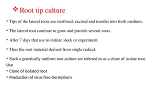Plant tissue culture.pptx Pharmacognosy & Phytochemistry-I (BP405T ...
