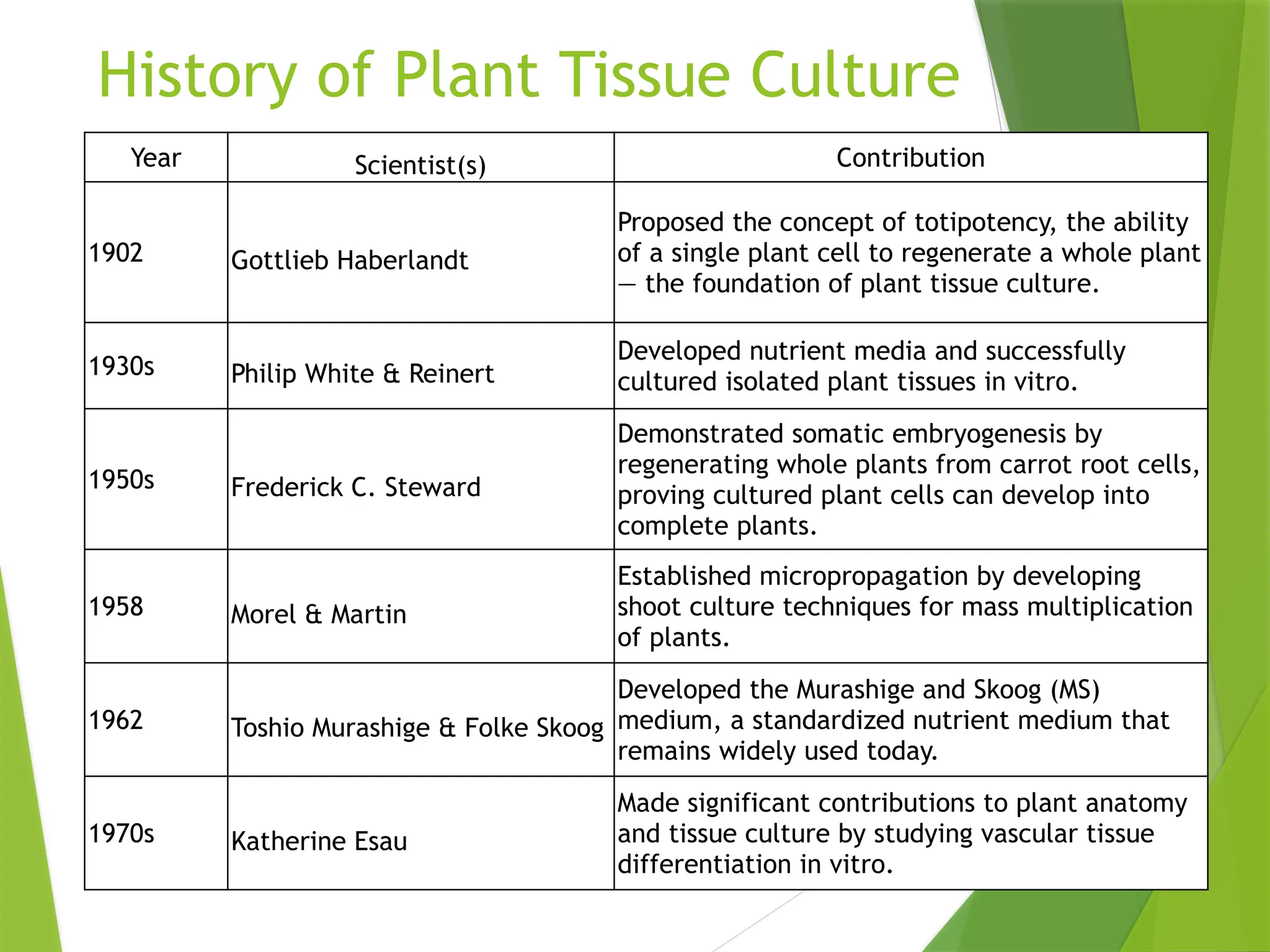 Plant Tissue Culture An introduction .pptx
