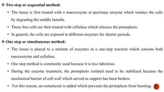 Plant tissue culture ⅱ isolation of protoplast | PPTX
