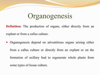 Plant tissue culture (1) | PPTX