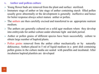 Plant tissue culture Pharmacy | PDF