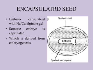 Plant tissue culture application | PPTX