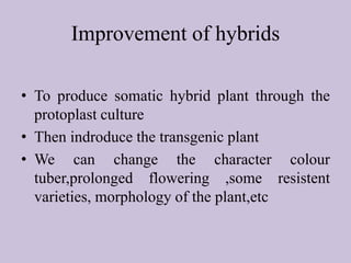 Plant tissue culture application | PPTX