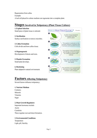 Totipotency or Plant Tissue Culture Detailed Notes | PDF