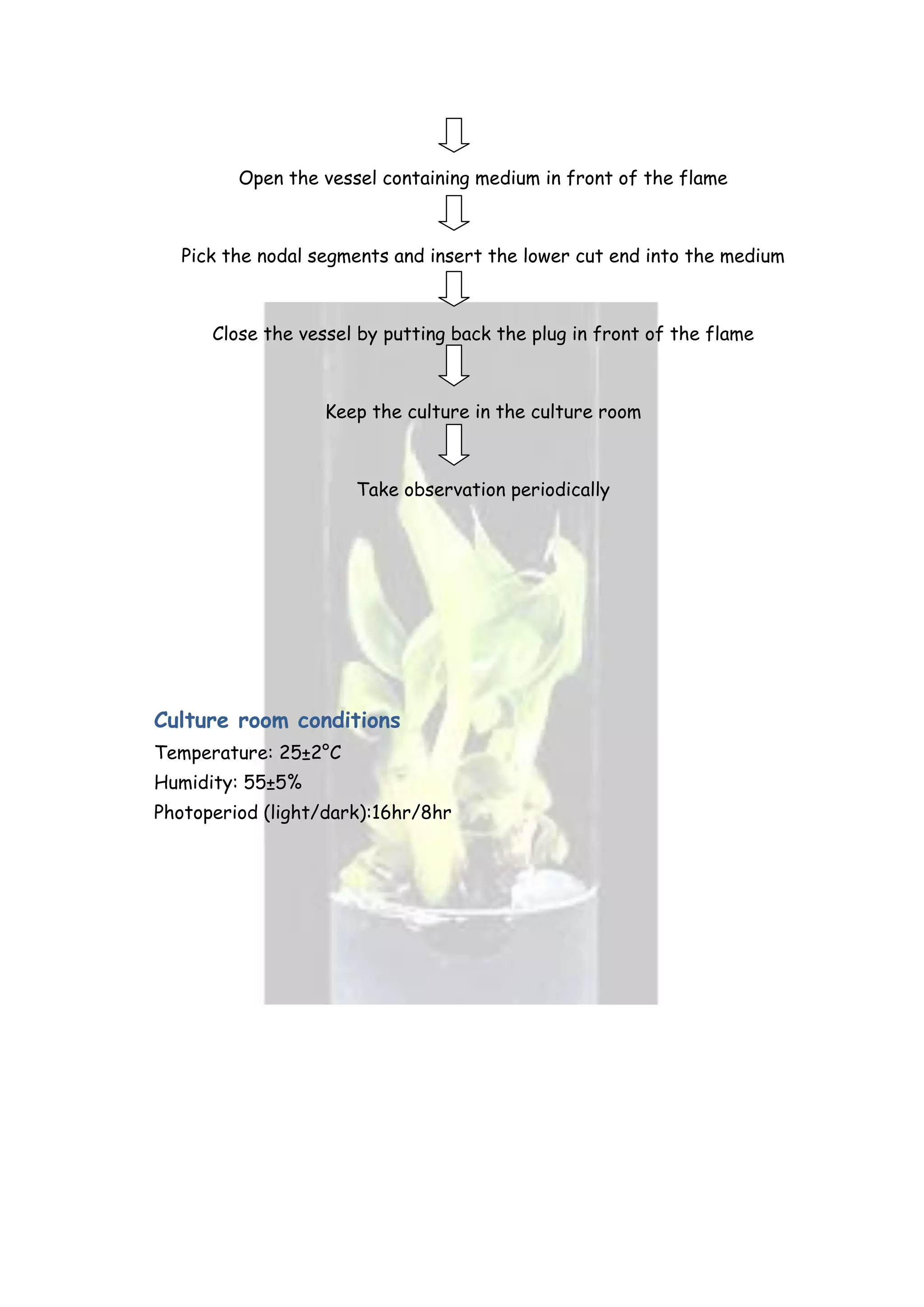 Plant tissue culture | PDF