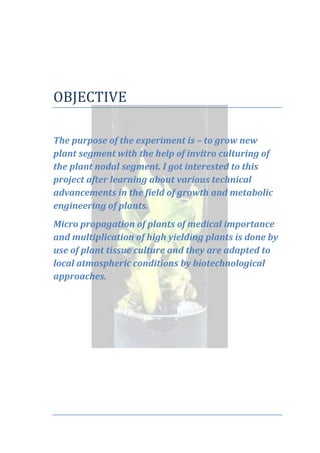 Plant tissue culture | PDF