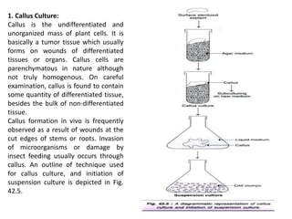 Plant tissue culture general introduction | PPTX