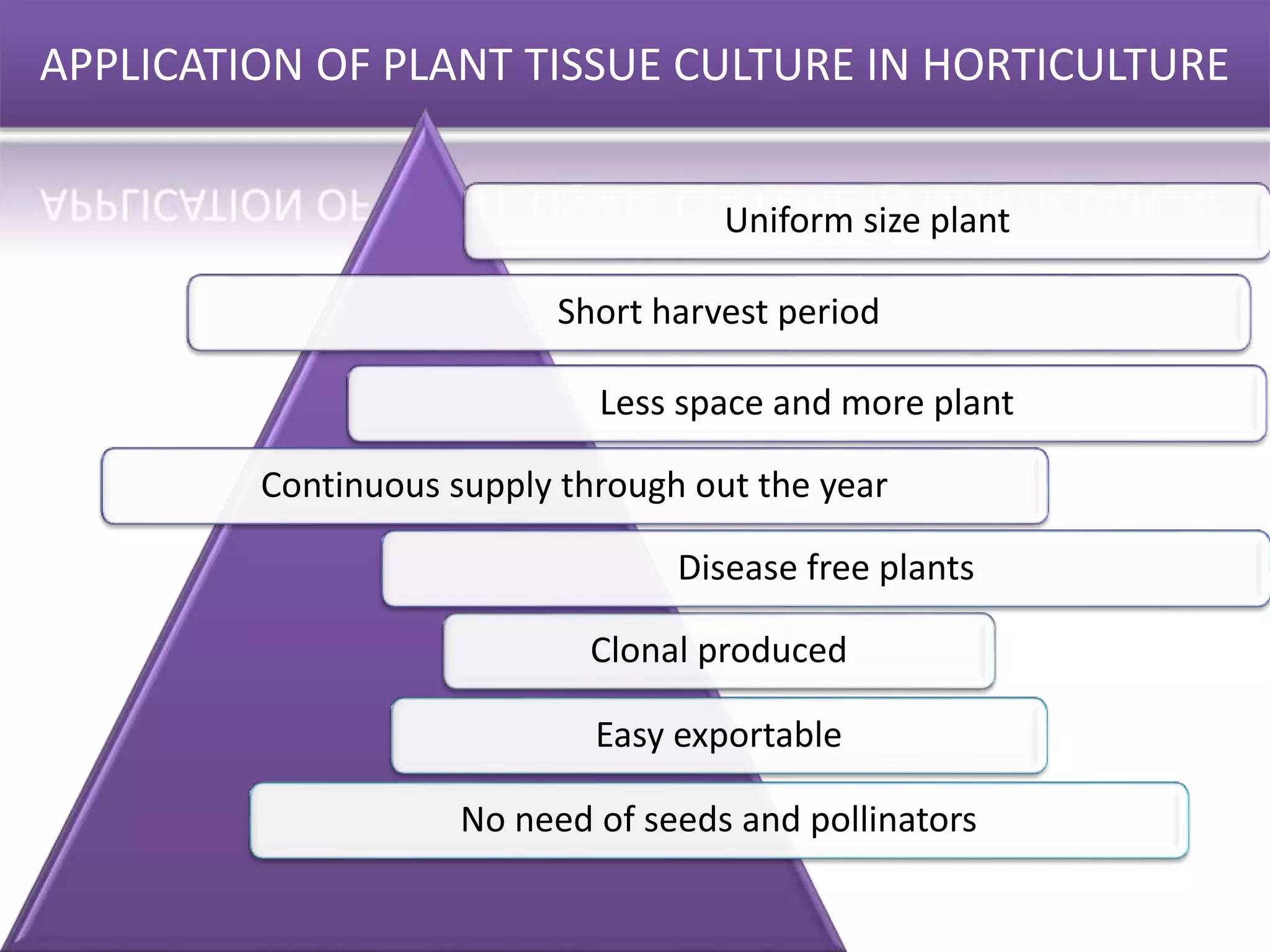 Plant tissue culture introduction | PPTX