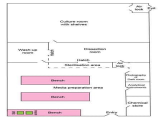 Plant Tissue Culture Laboratory Design Layout