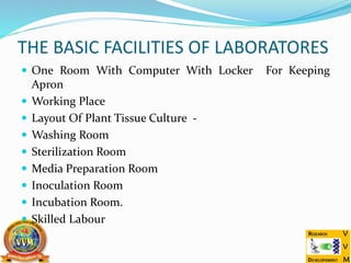 Plant Tissue Culture Laboratory Design Layout