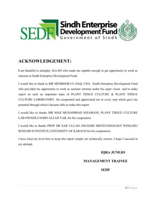 Plant tissue culture lab,sedf | DOCX