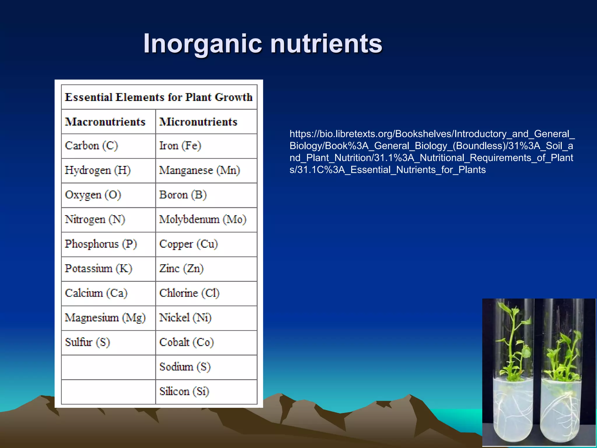 Plant tissue culture media | PPT