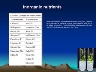 Plant tissue culture media | PPT