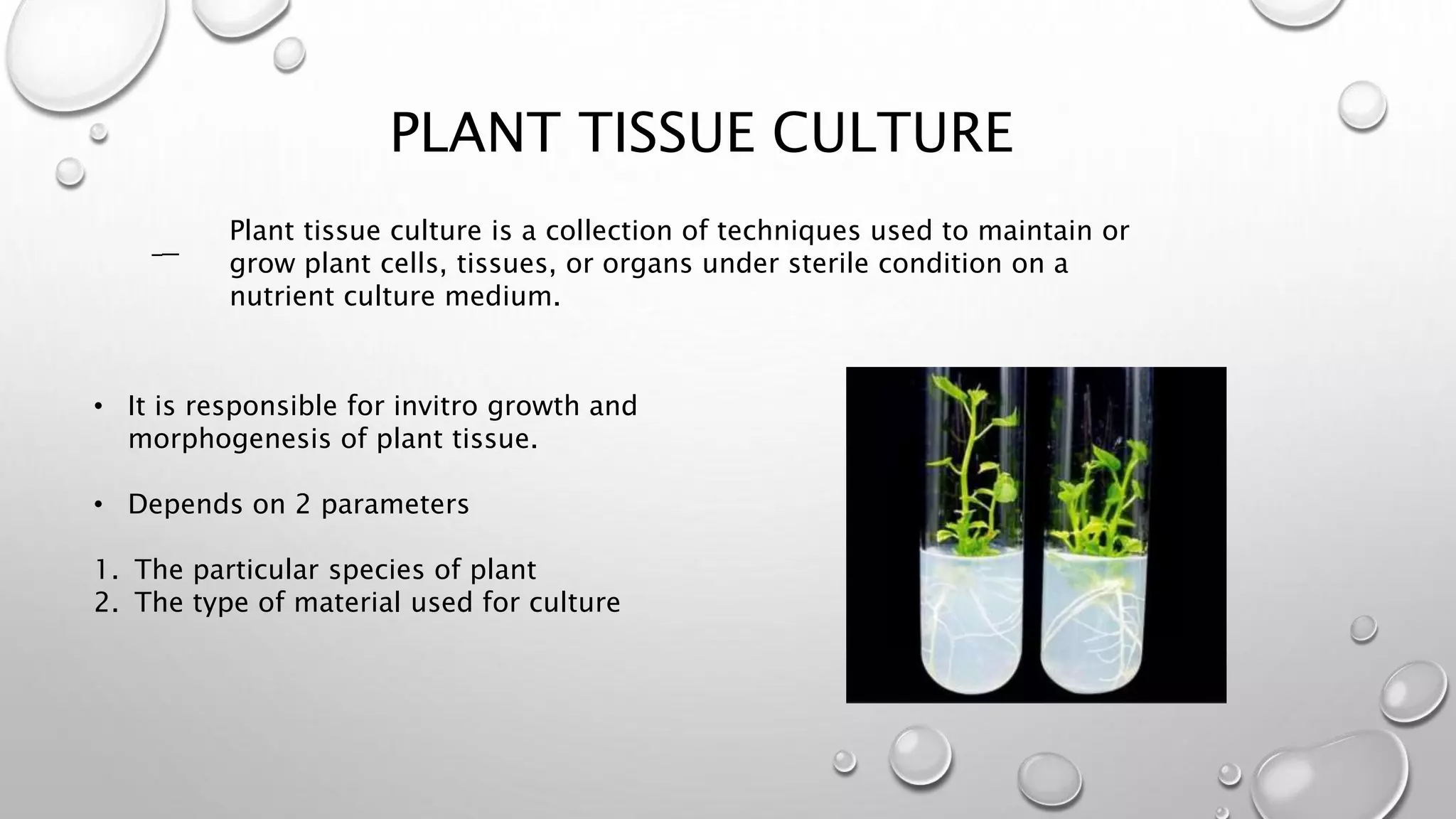 Plant tissue culture media | PPTX