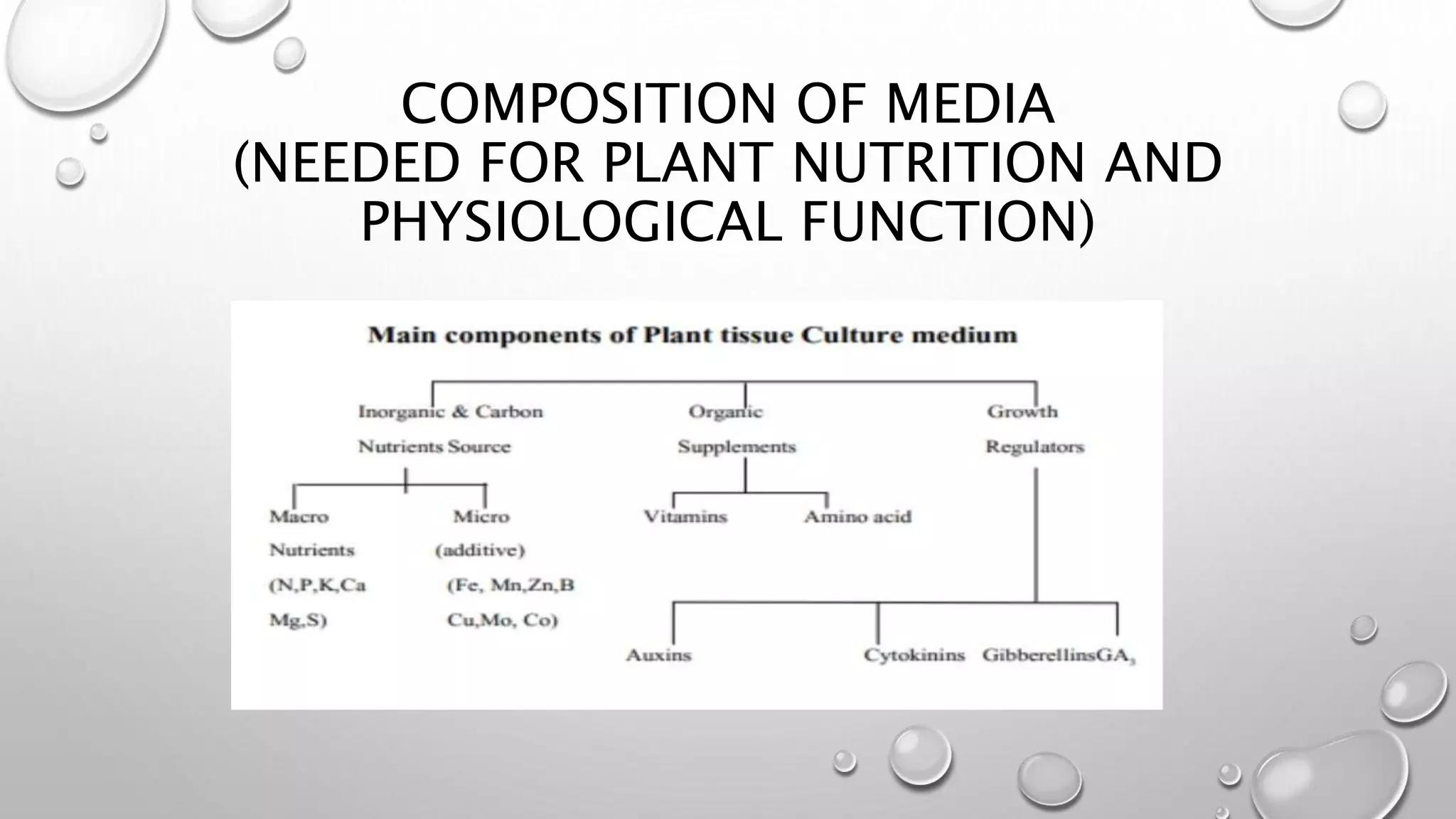 Plant tissue culture media | PPTX
