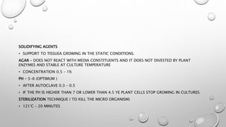 Plant tissue culture media | PPTX