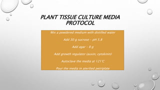 Plant tissue culture media | PPTX