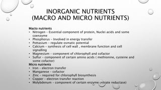 Plant tissue culture media | PPTX