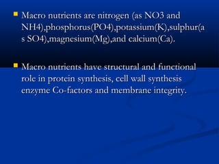 Plant tissue culture medium | PPT