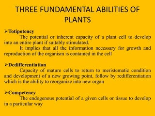 Plant tissue cultur eppt | PPTX | Gardening | Home & Garden