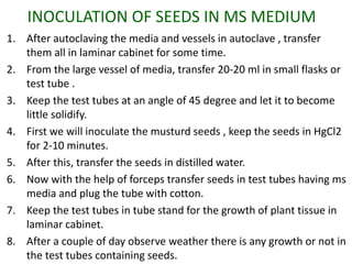 Plant tissue culture ppt | PPT