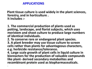 Plant tissue culture ppt | PPT