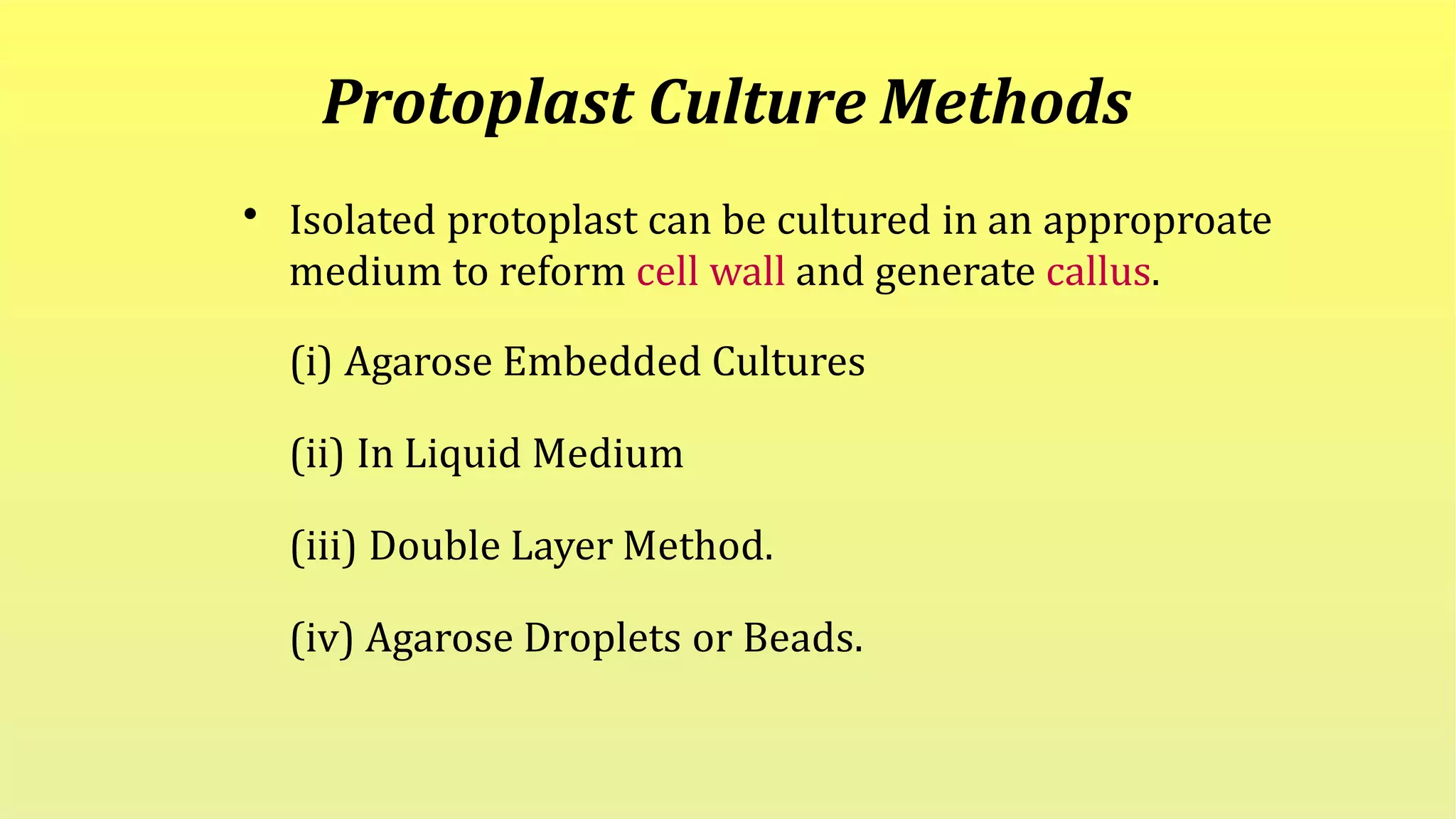 Protoplast Culture (Plant tissue culture) pptx | PPTX
