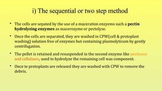 Protoplast Culture (Plant tissue culture) pptx | PPT