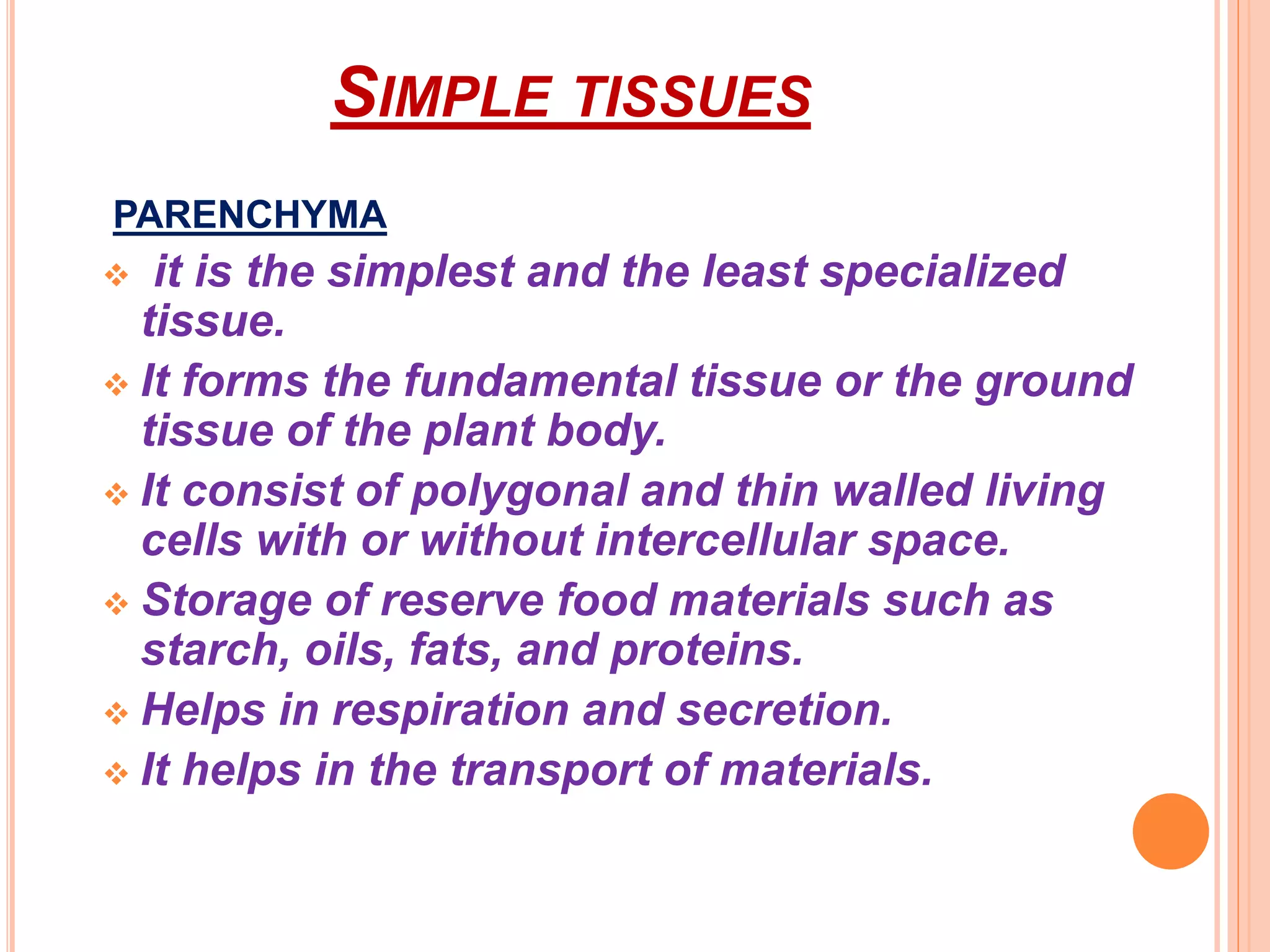 Plant tissues | PPTX