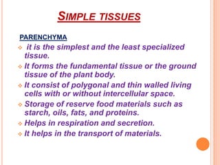 Plant tissues | PPTX