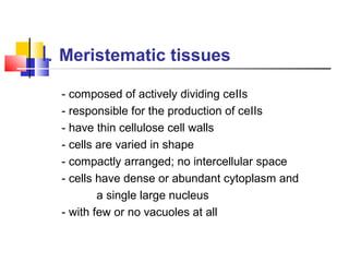 Plant tissues | PPT