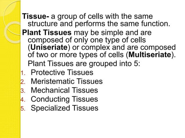 Plant Tissues | PPTX