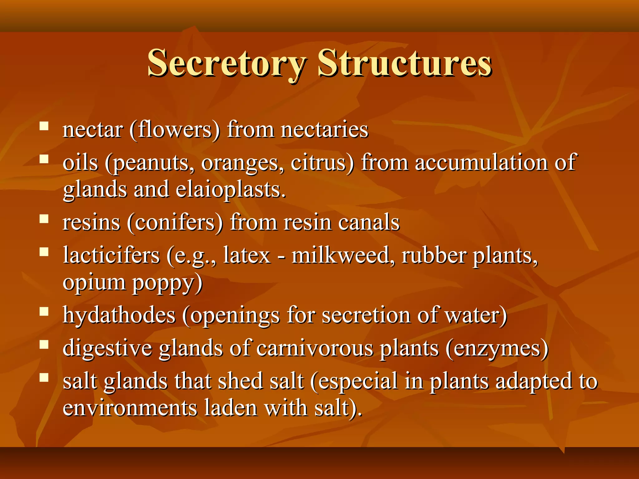 Plant tissues | PPT