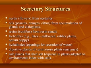 Plant tissues | PPT
