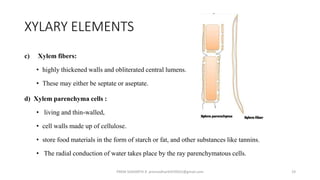 PLANT TISSUES.pptx