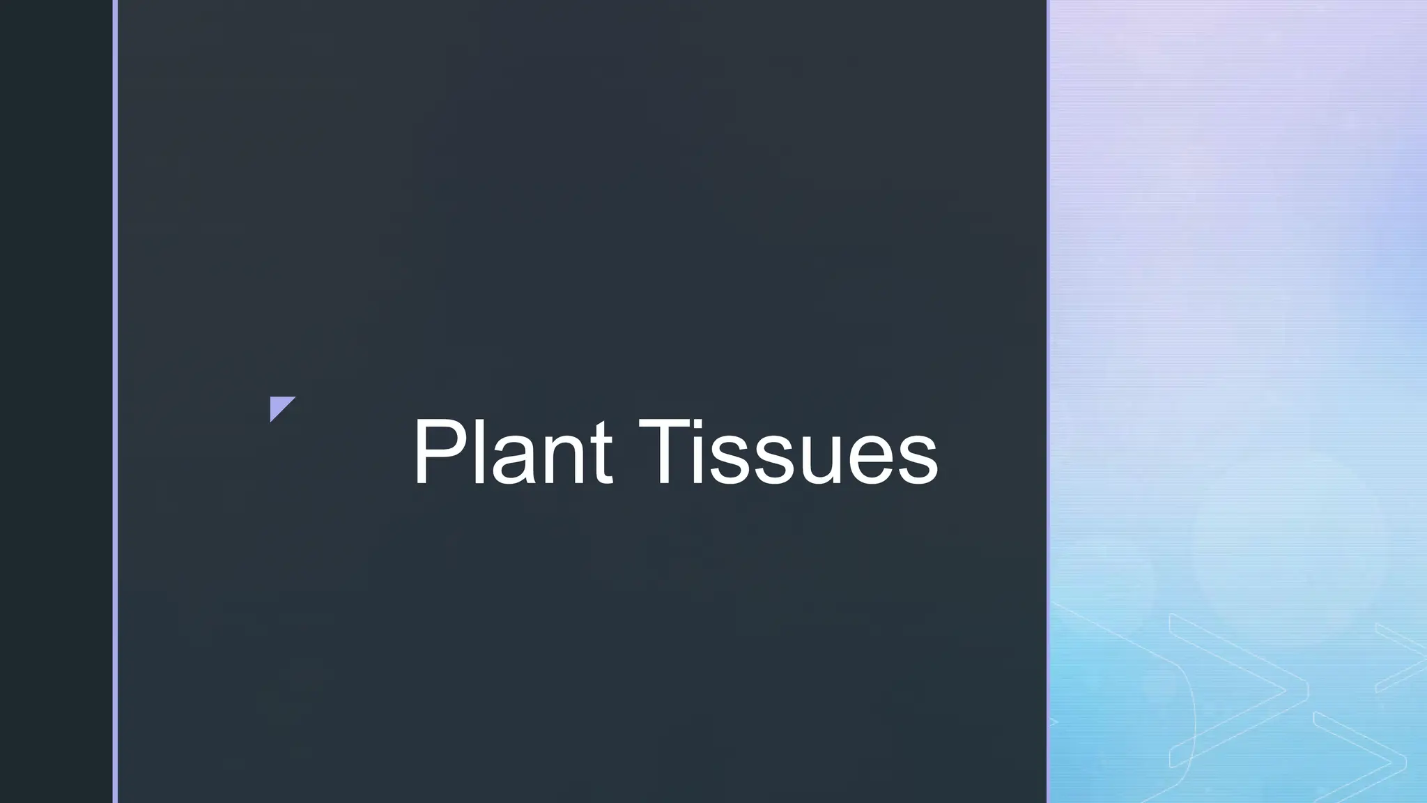 Plant Tissues for Grade 10 Life Sciences | PPTX