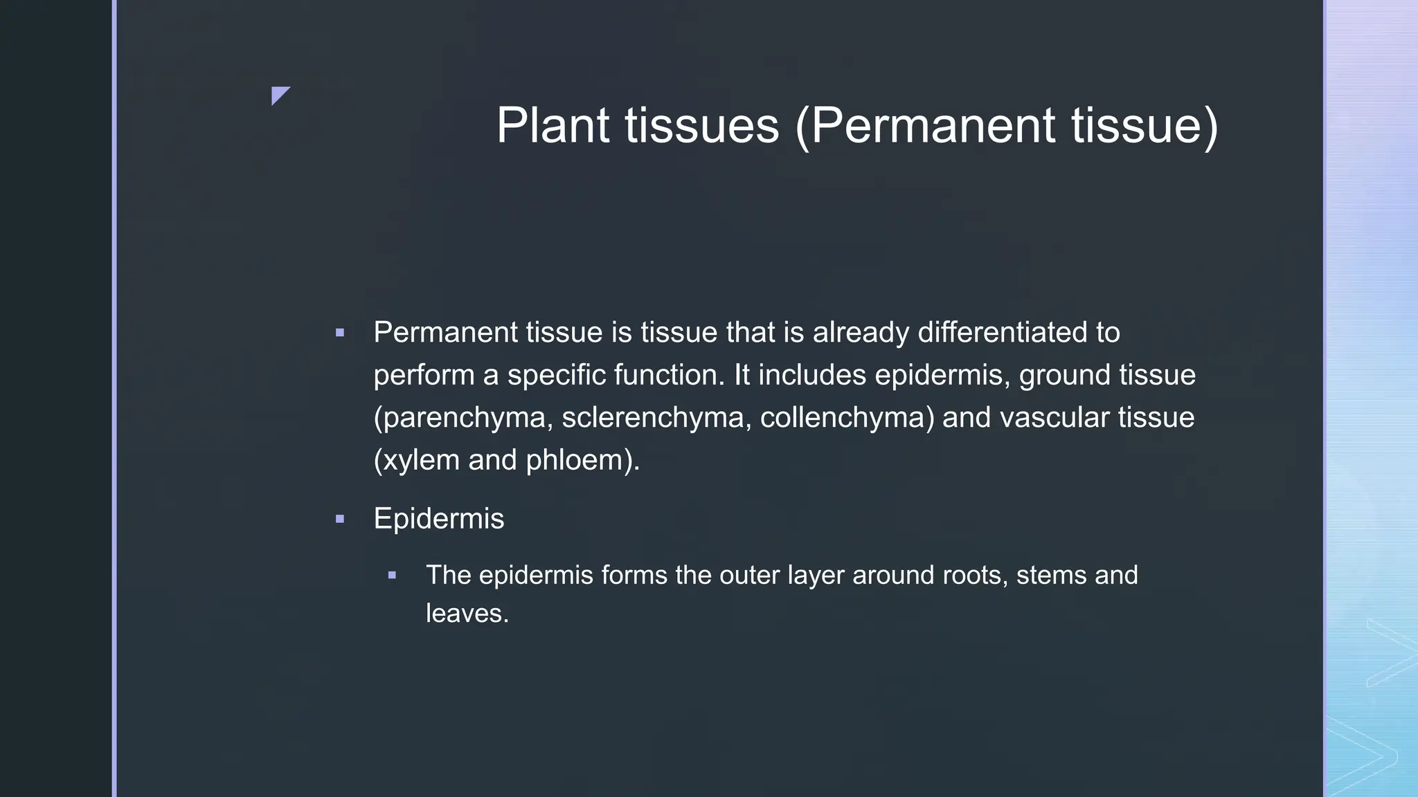 Plant Tissues for Grade 10 Life Sciences | PPTX