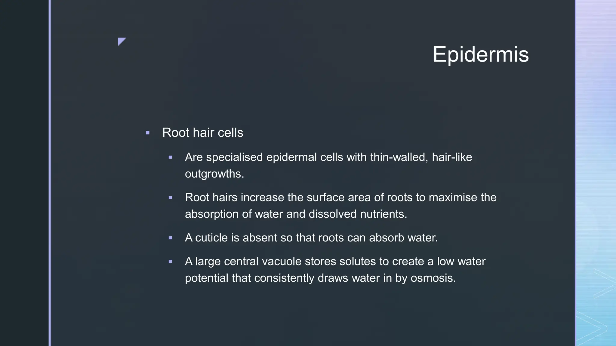 Plant Tissues for Grade 10 Life Sciences | PPTX