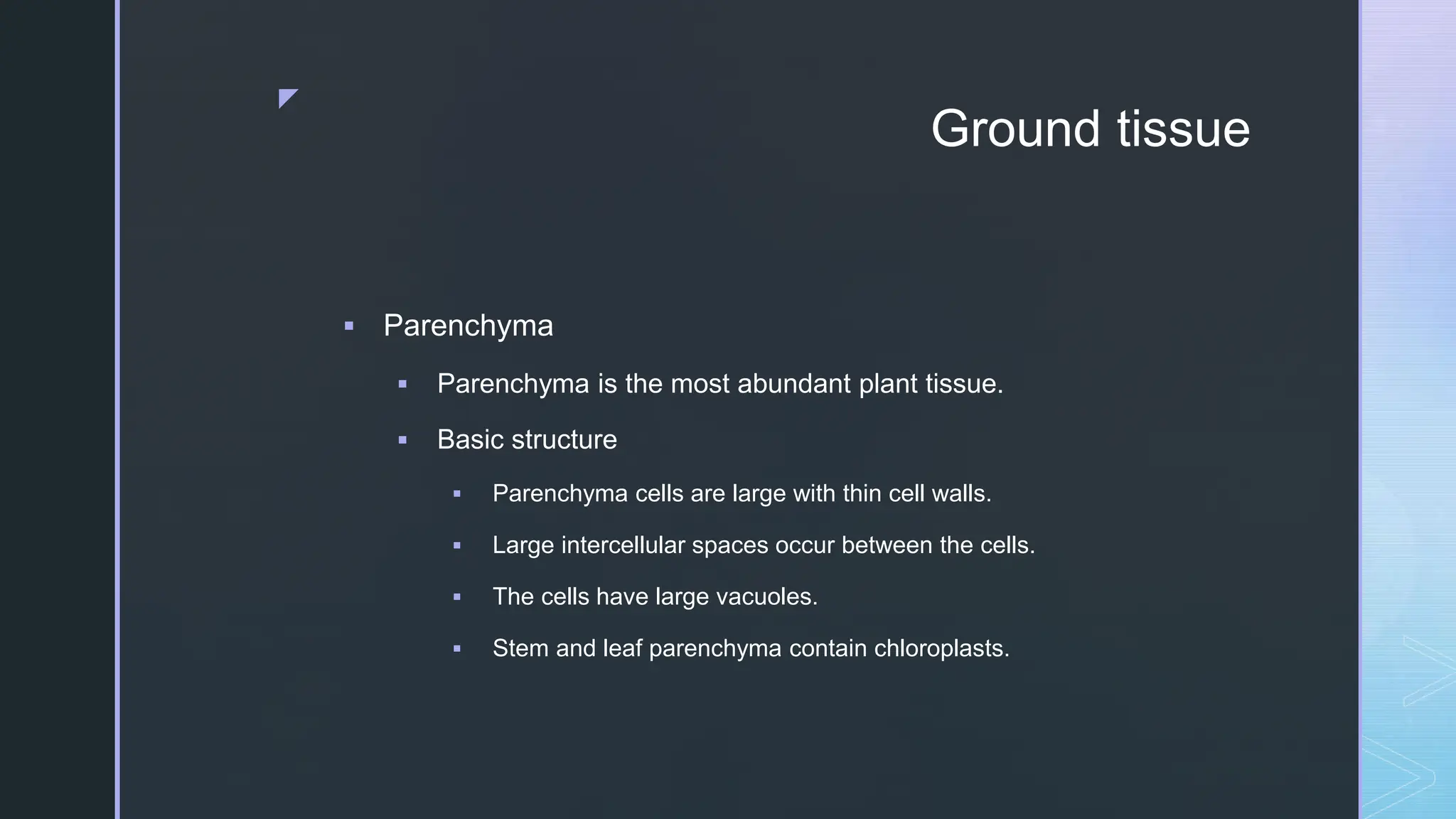 Plant Tissues for Grade 10 Life Sciences | PPTX