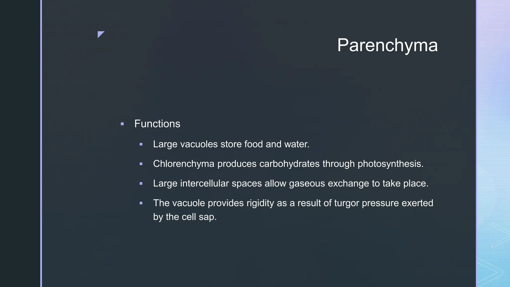 Plant Tissues for Grade 10 Life Sciences | PPTX
