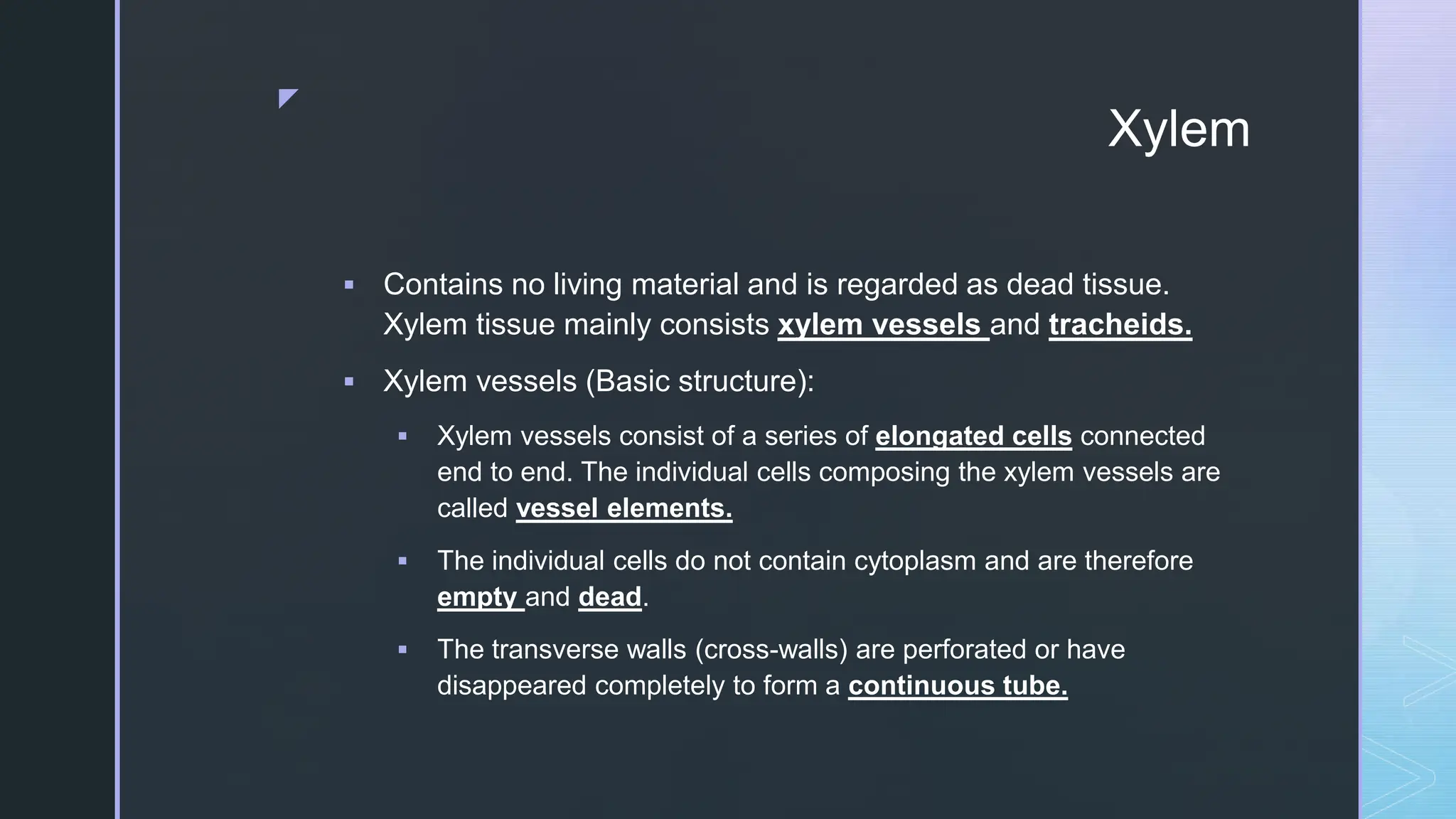 Plant Tissues for Grade 10 Life Sciences | PPTX