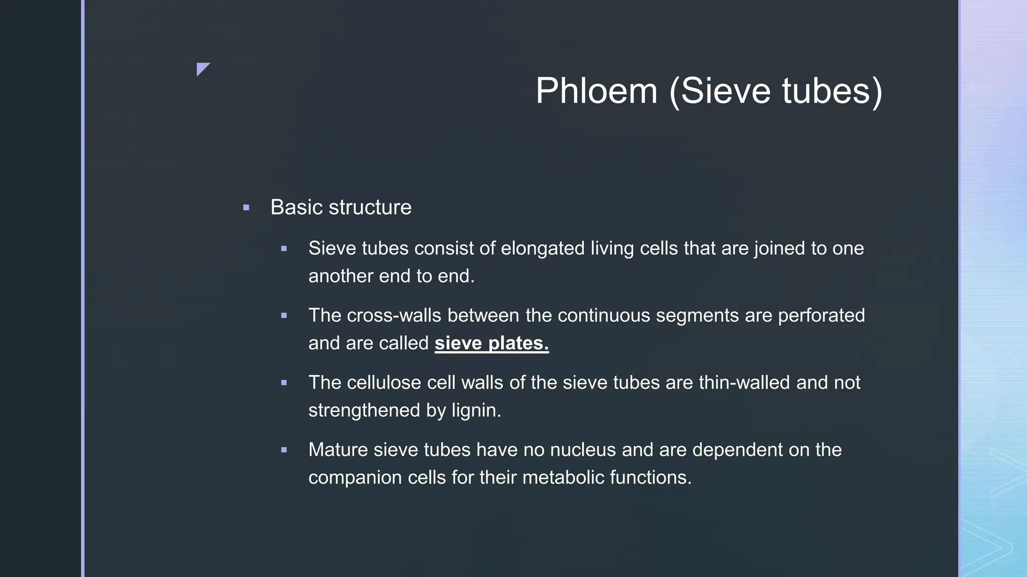 Plant Tissues for Grade 10 Life Sciences | PPTX