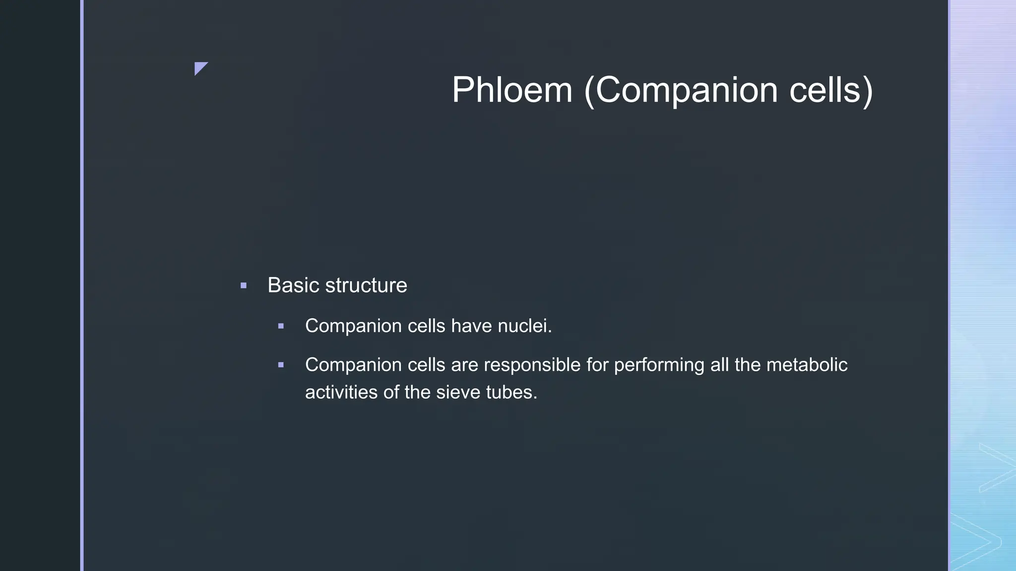 Plant Tissues for Grade 10 Life Sciences | PPTX